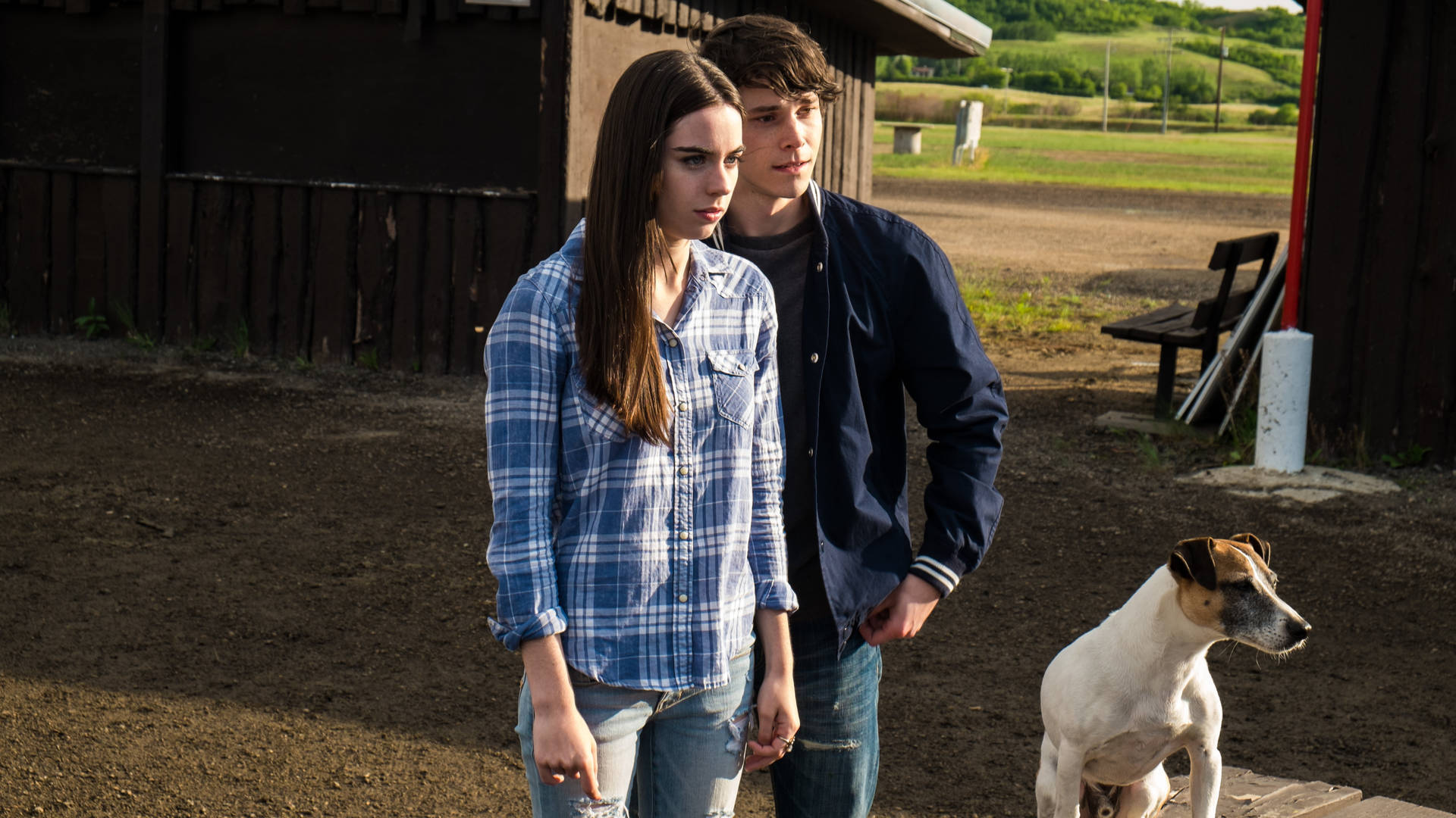 A.R.C.H.I.E.: ROBODOG - ROBOT KÖPEK ARCHIE