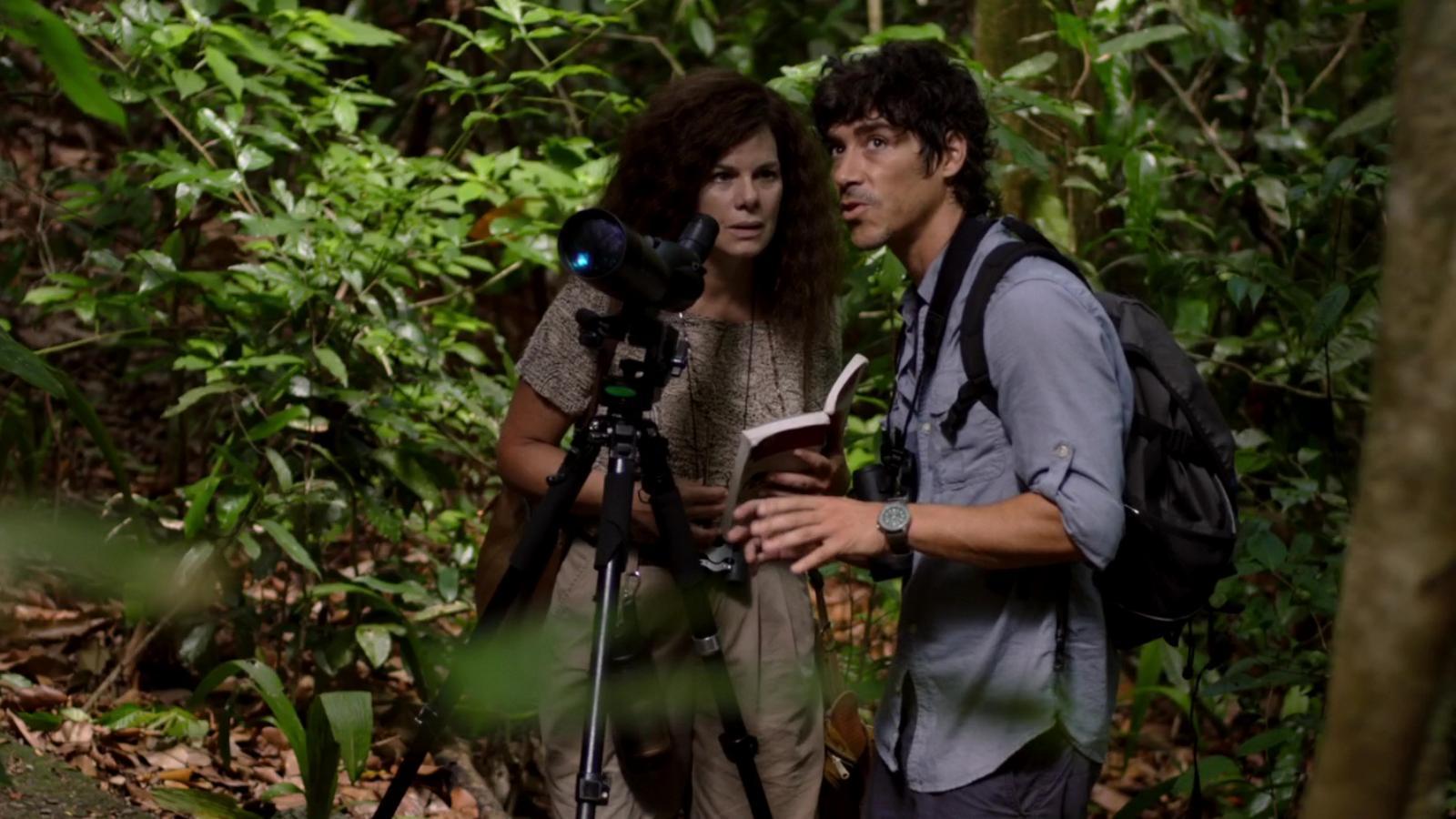 THE LIBRARIAN - KÜTÜPHANECİ