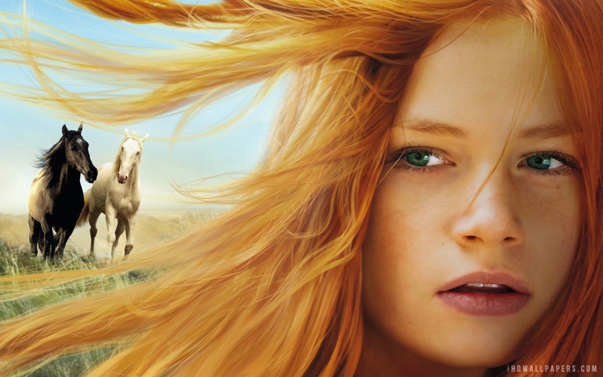 WINDSTORM 2 - KASIRGA 2